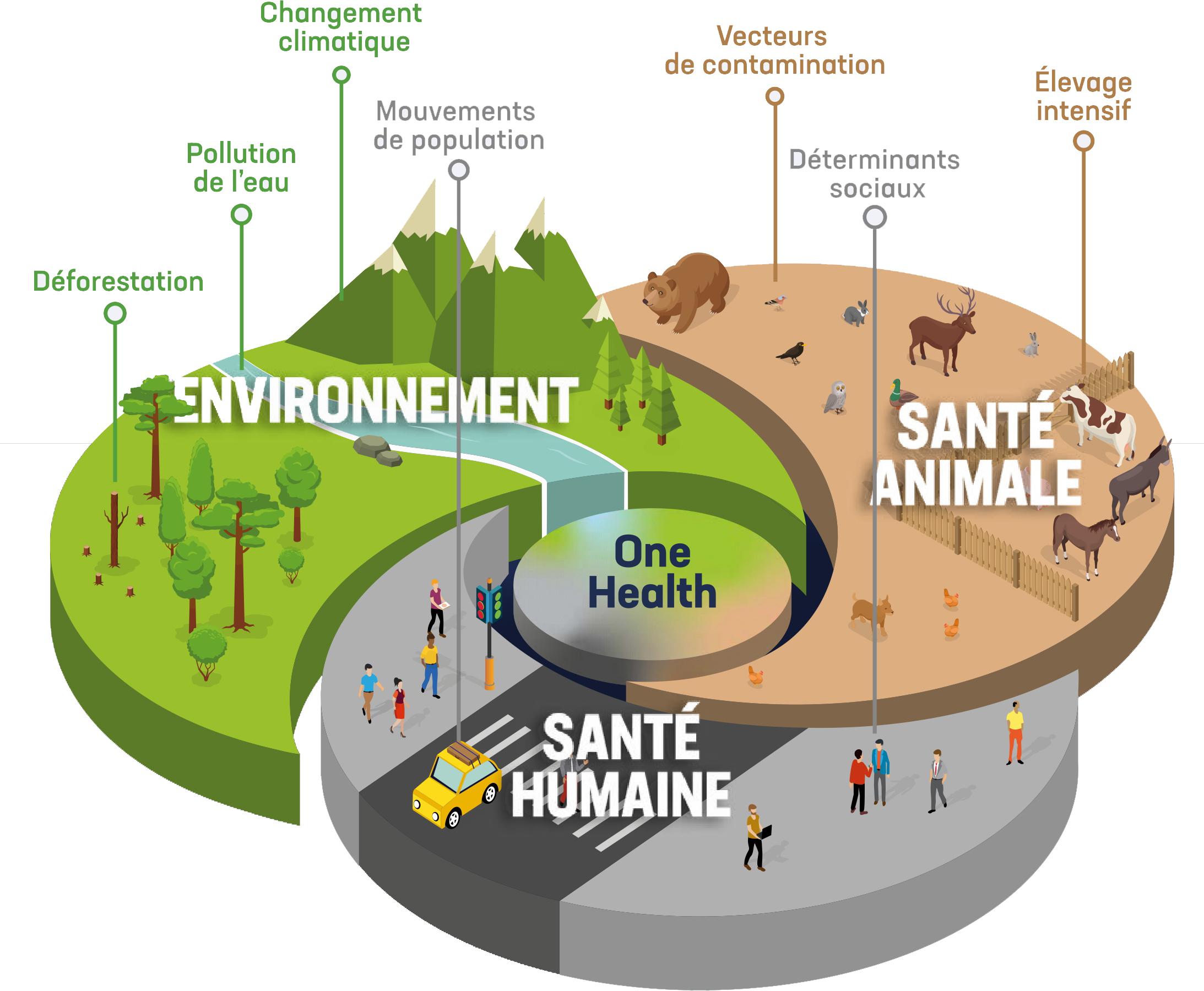 One health, une santé, des ambitions - Espace Mendès France